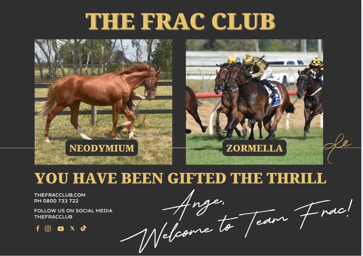 THE FRAC CLUB